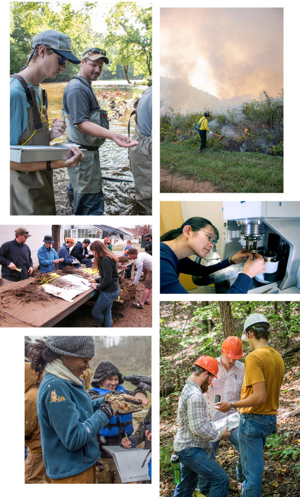 Academics | School of Natural Resources