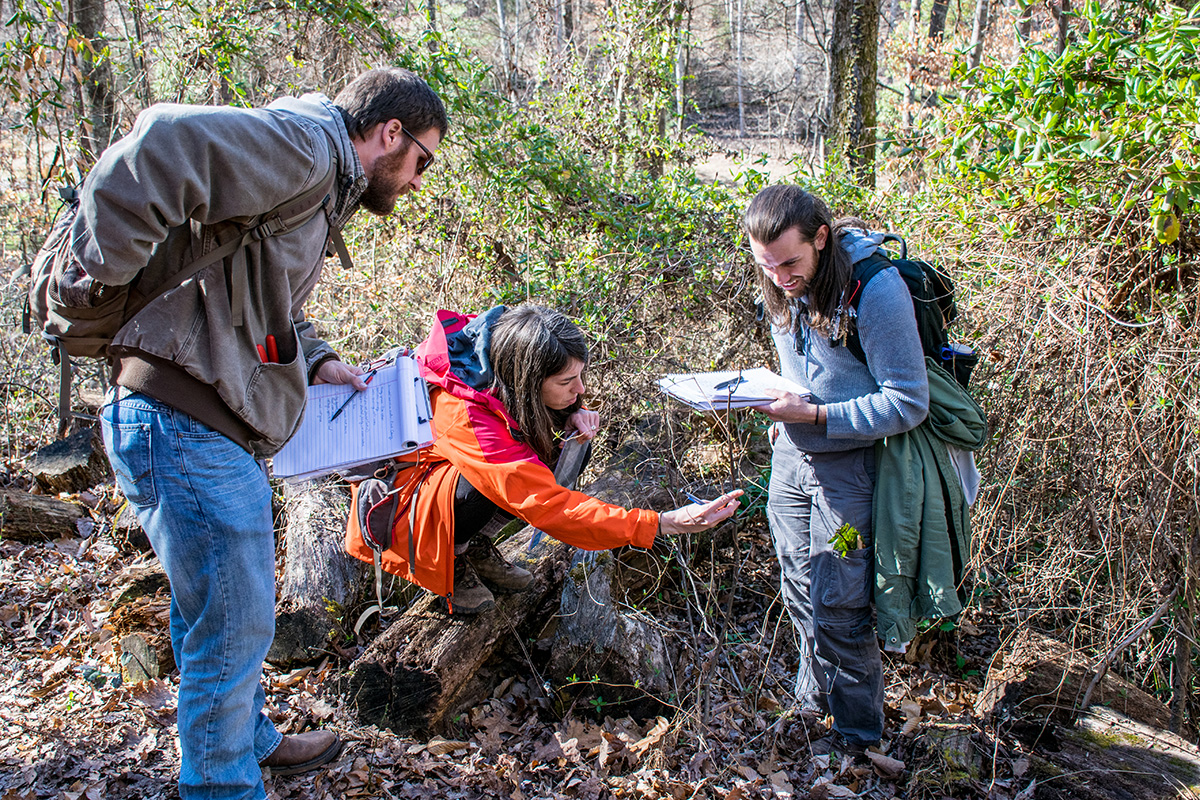 Undergraduate Program | School of Natural Resources