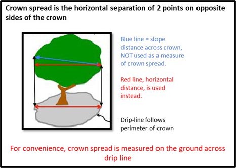 Tennessee Champion Tree Program | School of Natural Resources