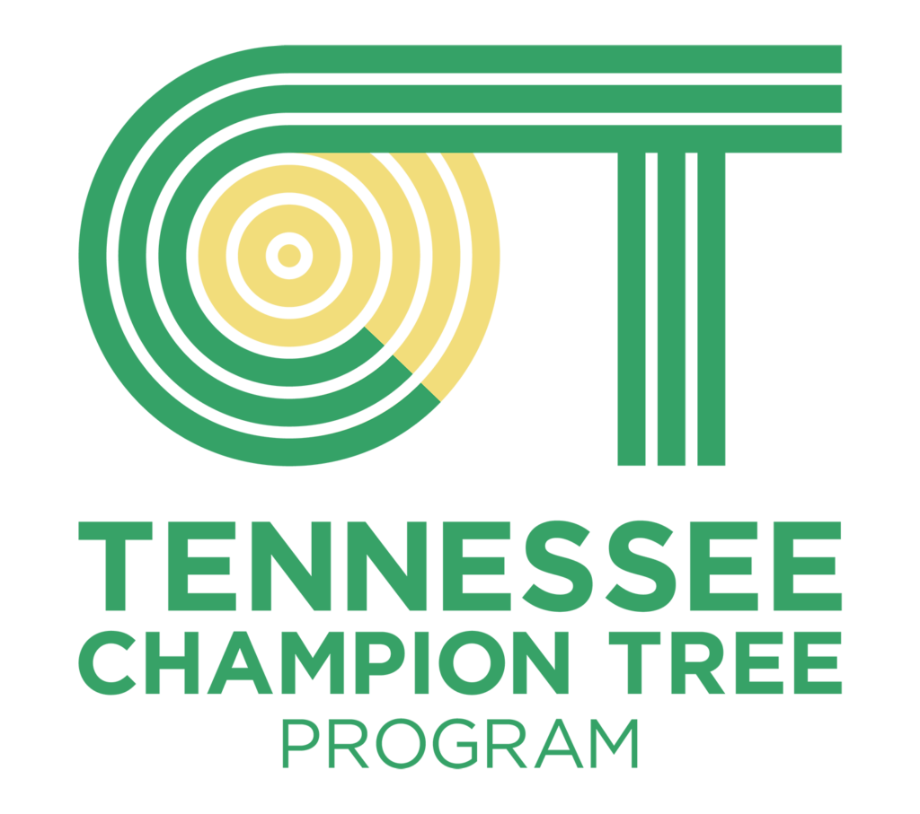 Tennessee Champion Tree Program | School of Natural Resources