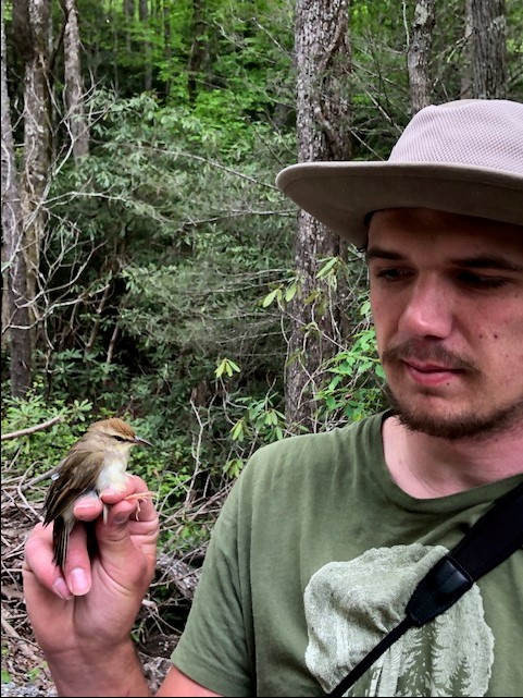 David Buehler's Avian Ecology and Conservation Science Lab | School of ...