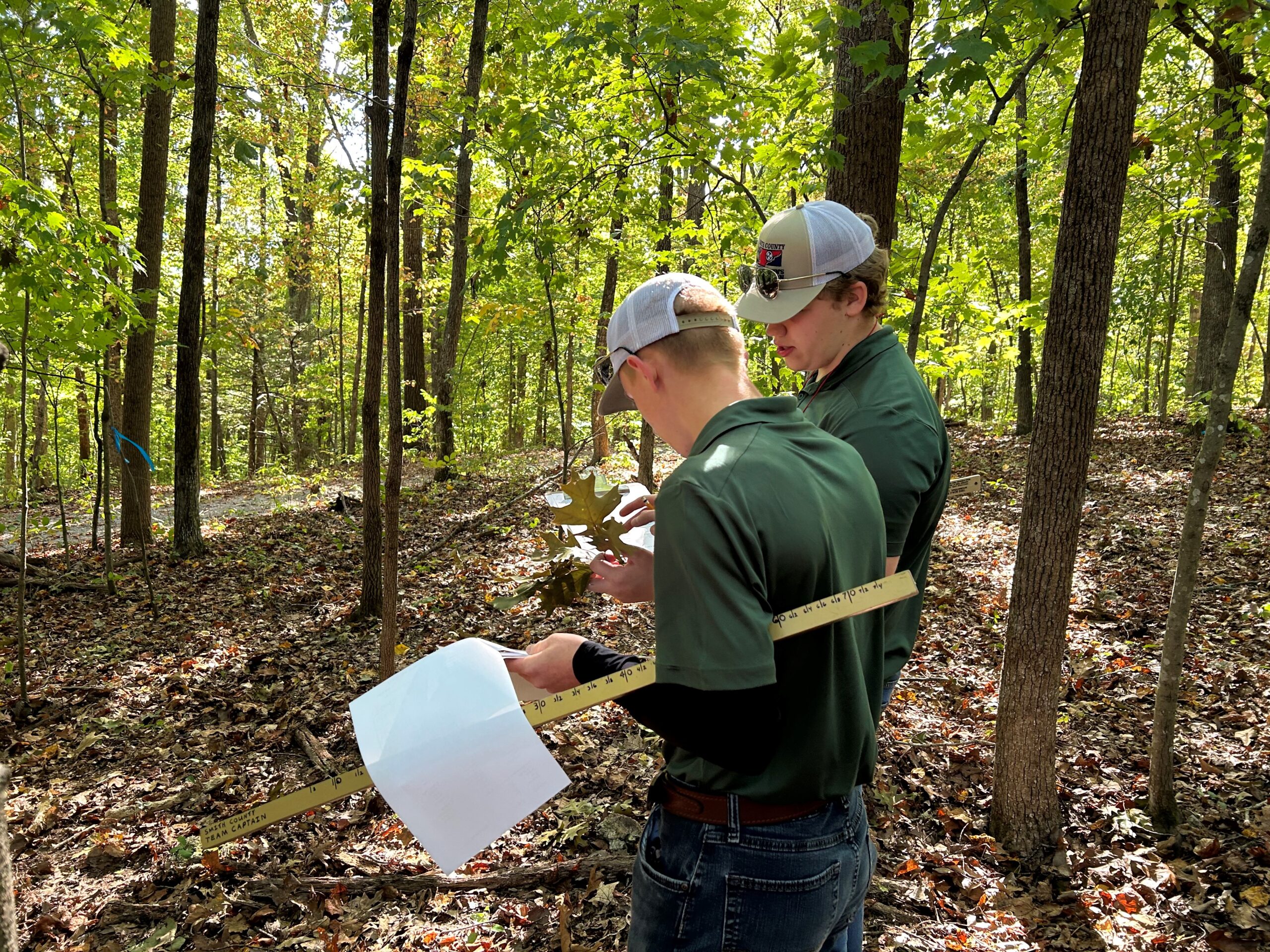 School of Natural Resources faculty coordinate 4-H forestry competition ...
