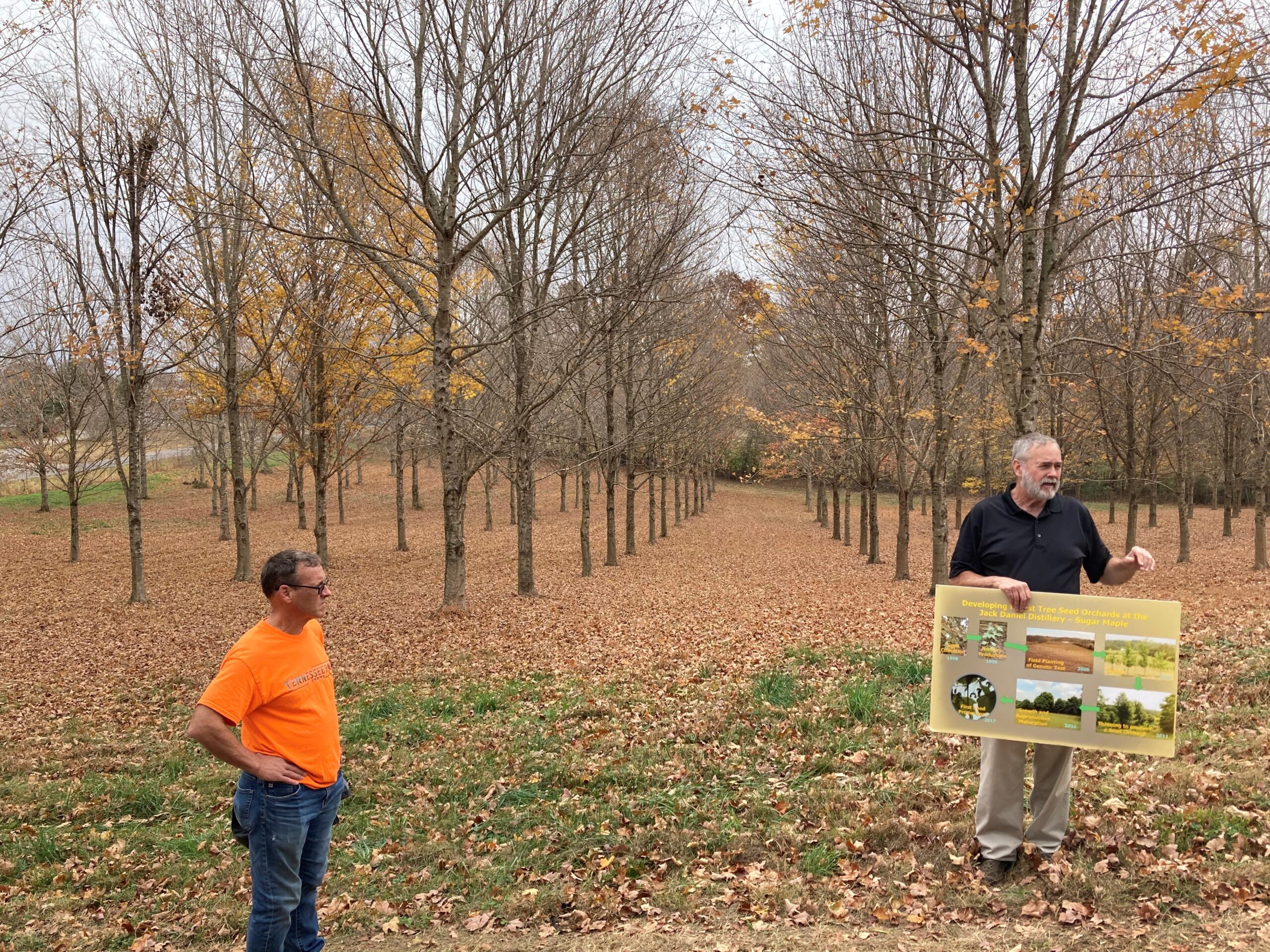 Group tours UT Tree Improvement seed orchards for third time in 18 ...