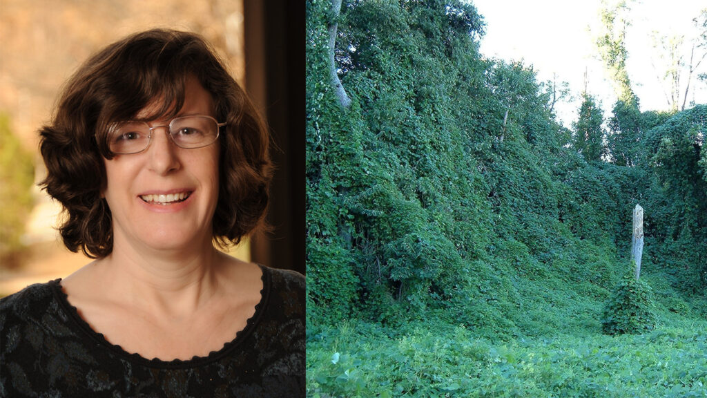 SNR Professor Jennifer Franklin talks kudzu on Knoxville NPR station ...