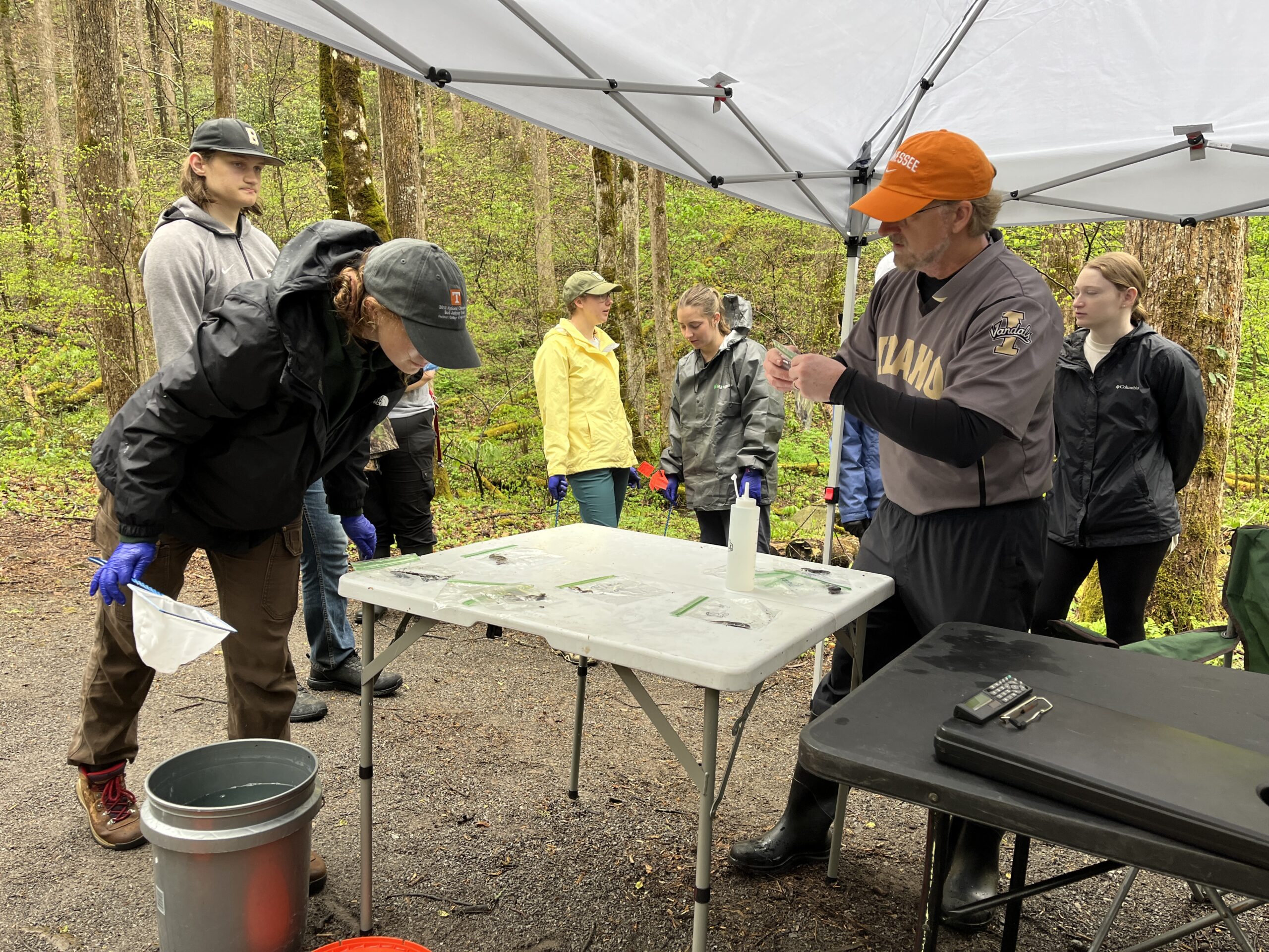 SNR professor takes students to Smokies for salamander sampling ...